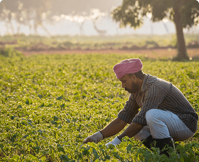 Welcome to Kisaan Parivar: Transforming Agriculture through Corporate ...