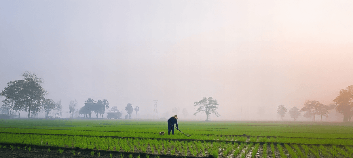 Welcome to Kisaan Parivar: Transforming Agriculture through Corporate ...